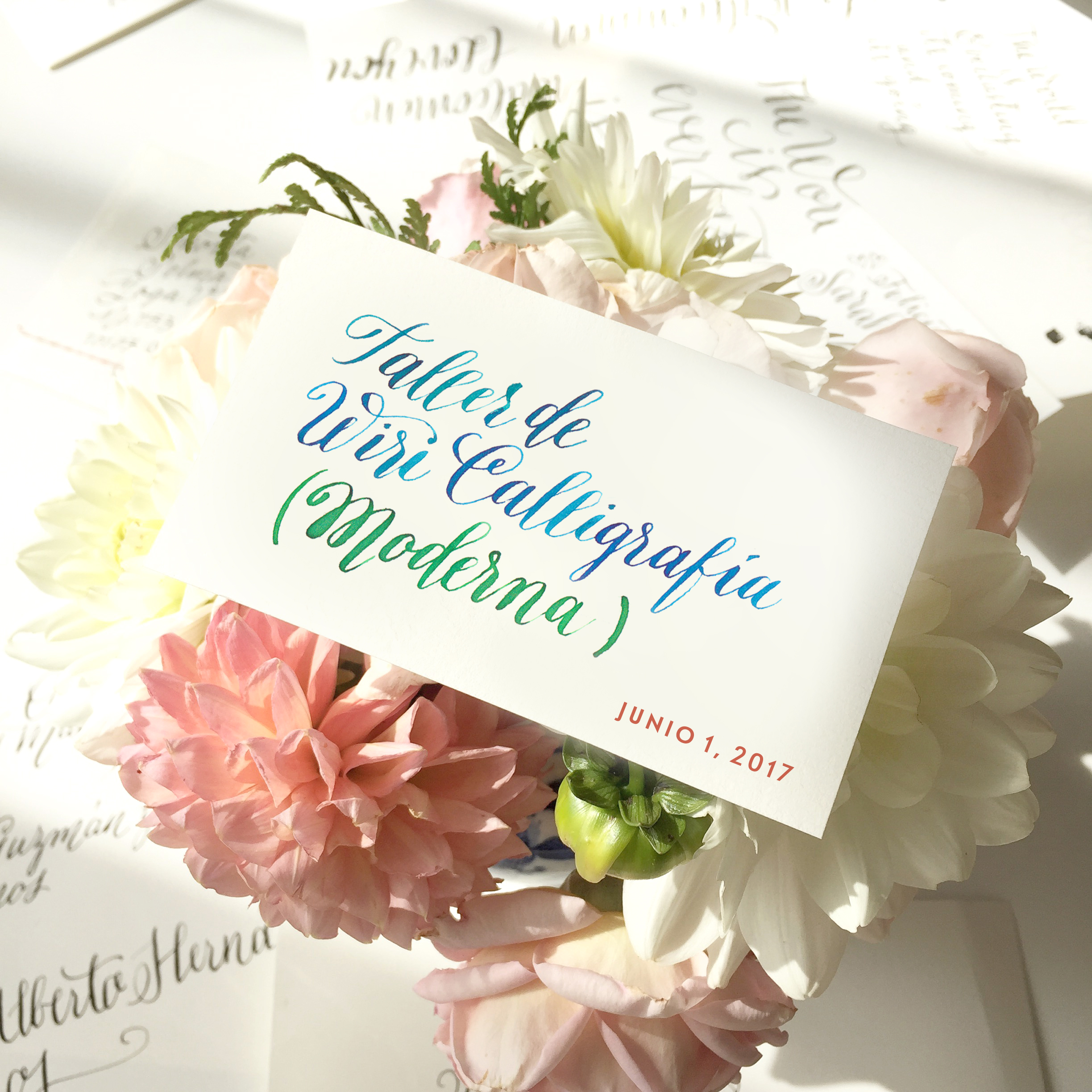 WORKSHOPS – WIRI WOODS • CONNA MORE • WOODS DESIGN GROUP